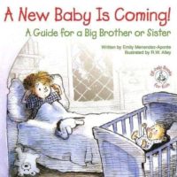Brilliant Children's Books About Siblings - Craft Play Learn