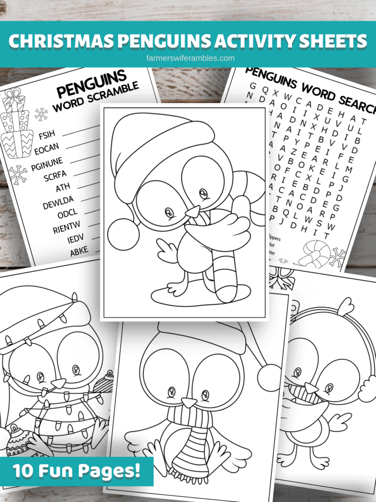 Free Christmas Penguin Activity Sheets - Craft Play Learn