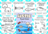 Arctic Coloring Pages For Kids - Craft Play Learn