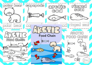 Arctic Coloring Pages For Kids - Craft Play Learn