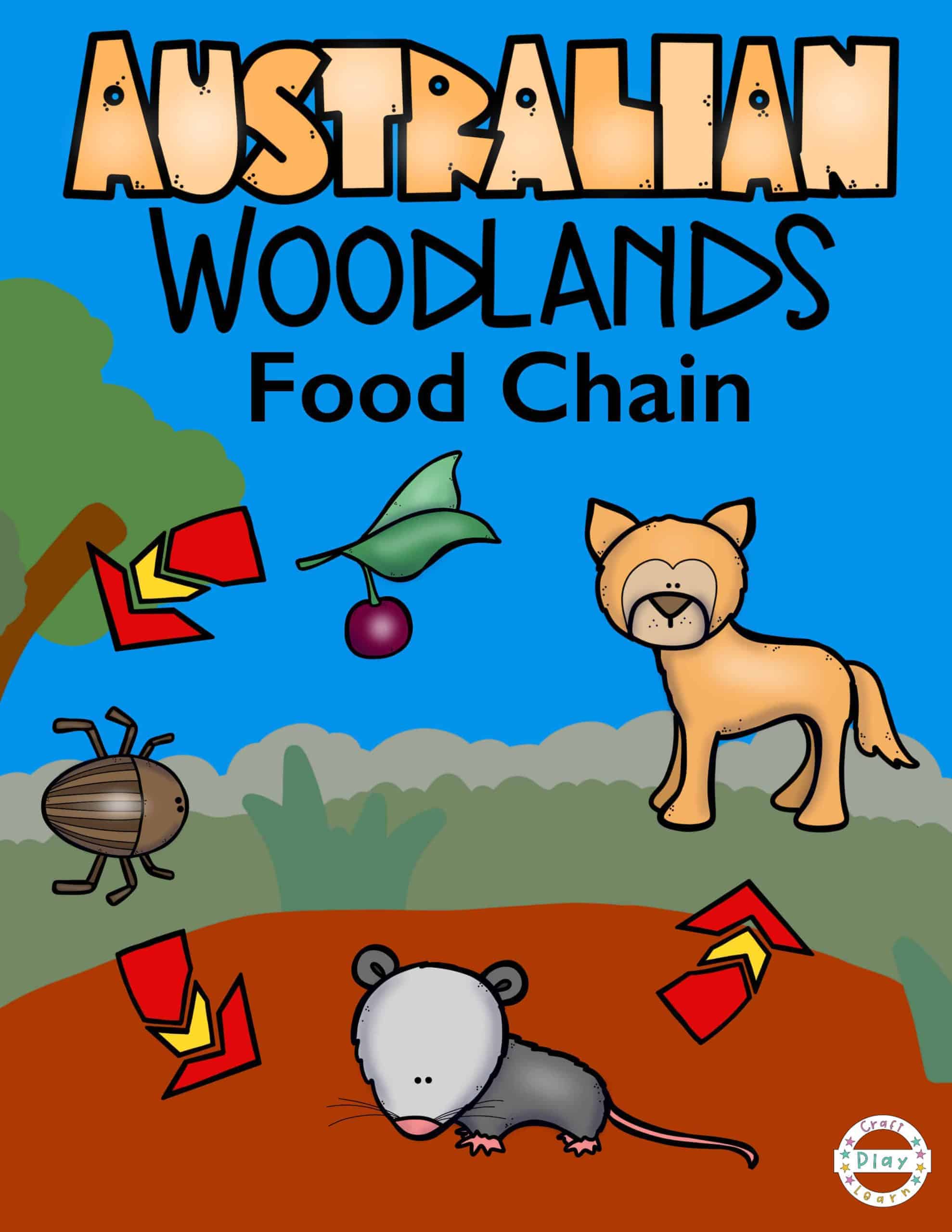 Woodland Food Chain