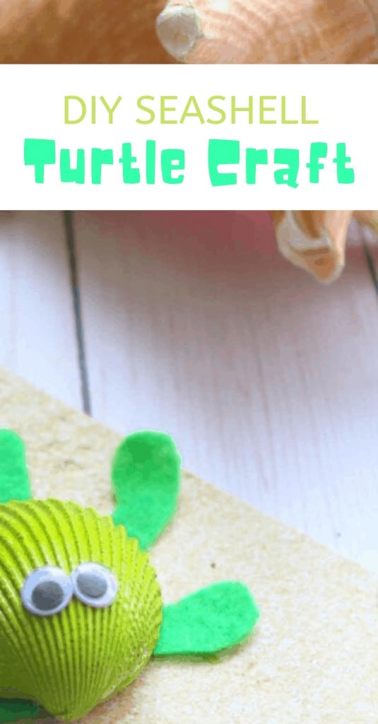 Homemade Turtle Shell