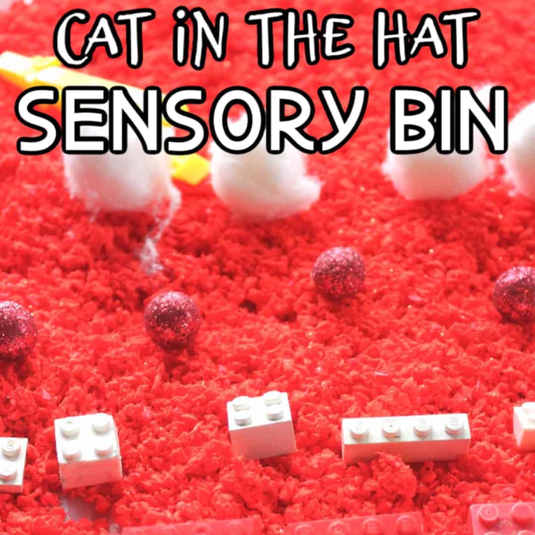 Fun Cat In The Hat Sensory Box - Craft Play Learn