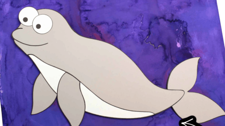 Beluga Whale Craft Beluga Whales Create Art In Japan Aquarium | World