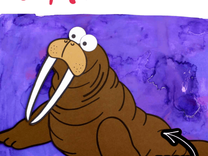 Walrus Template
