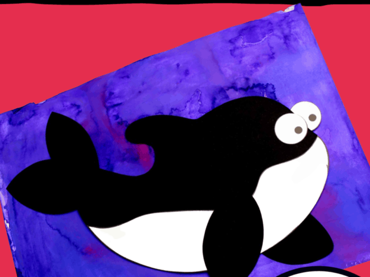 Orca Whale Crafts For Kids