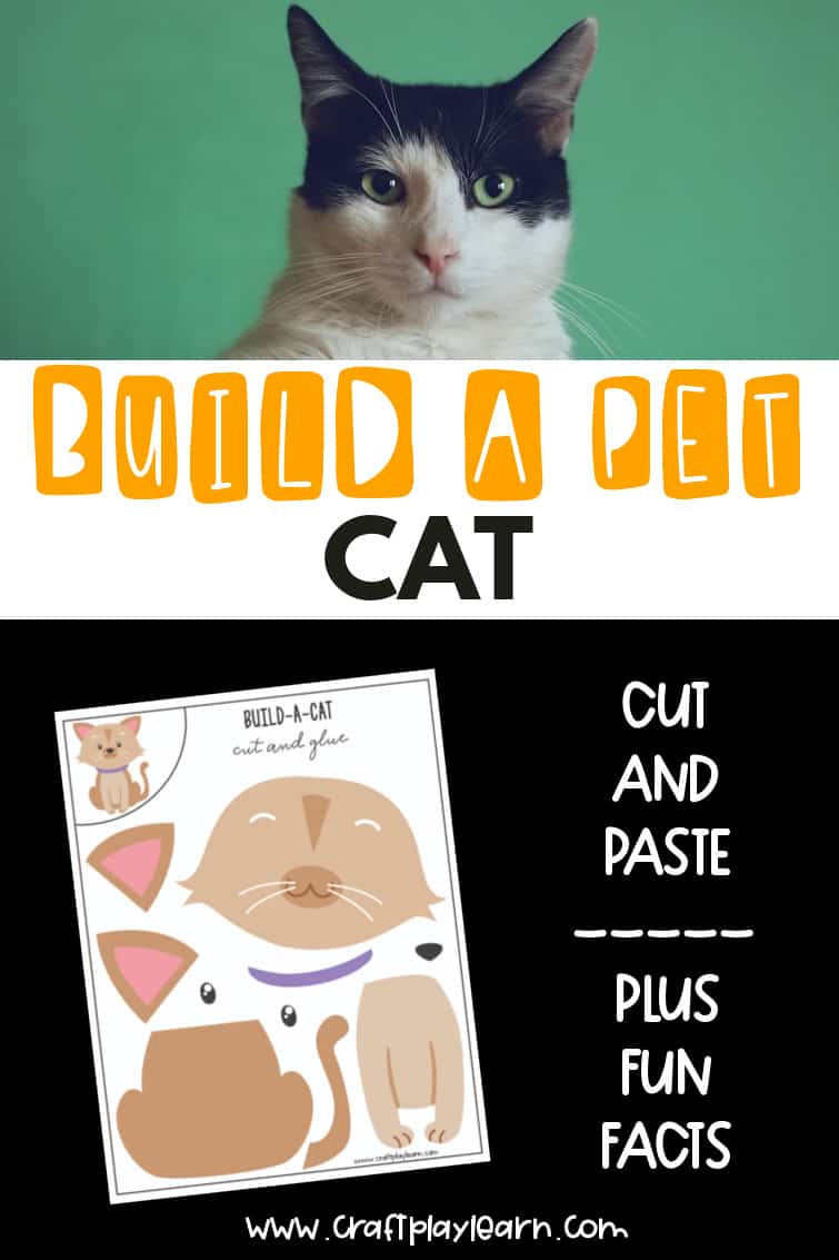 Build A Cat Paper Craft For Kids - Craft Play Learn