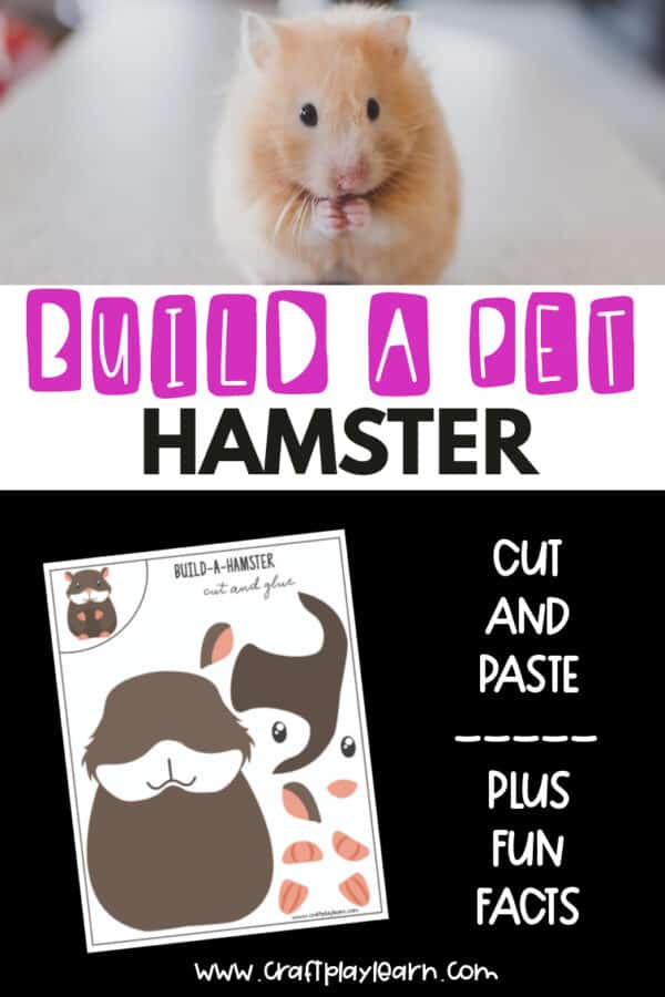 Hamster Crafts: Cut And Paste Activity - Craft Play Learn
