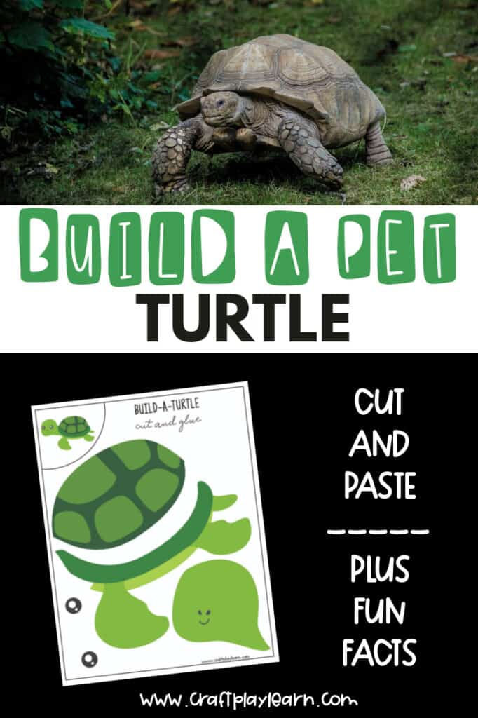 Easy Turtle Paper Craft For Kids - Craft Play Learn