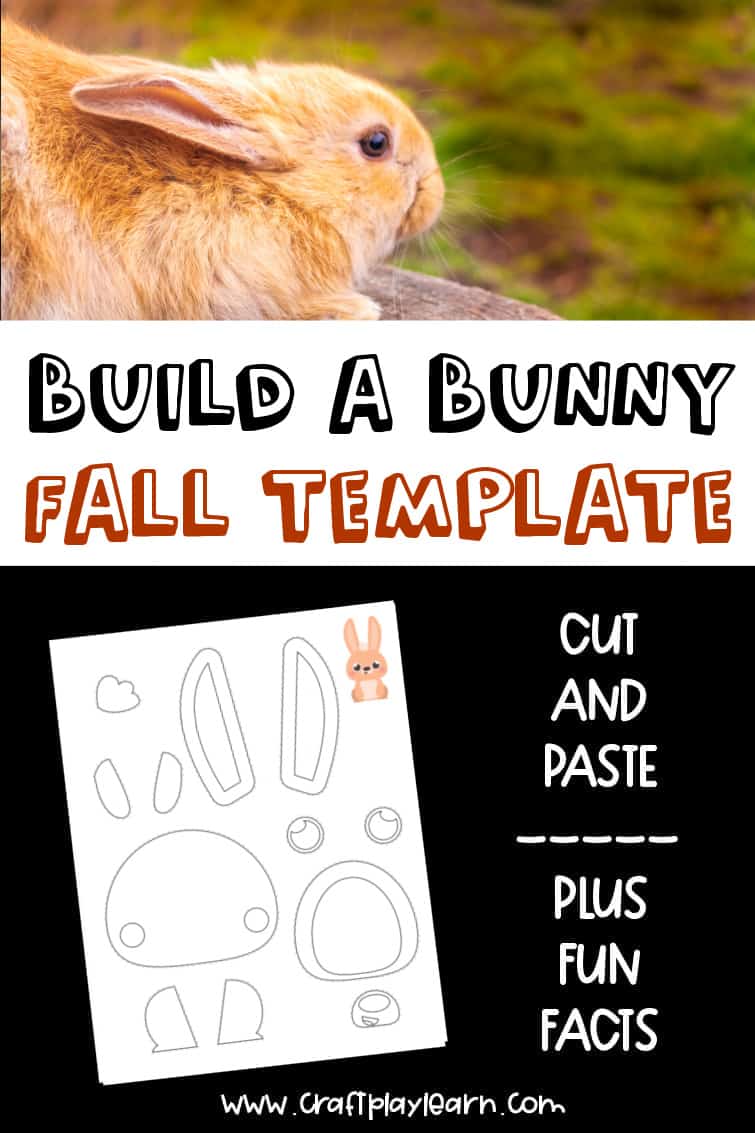 Easy Fall Bunny Cut Out Template For Kids - Craft Play Learn