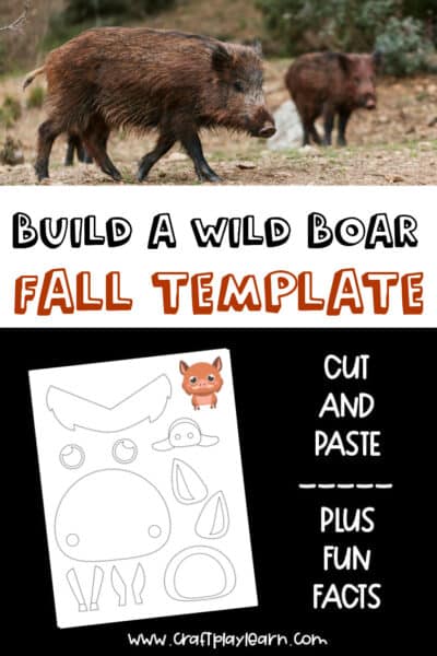 Fall Activity Worksheets Free Downloads - Craft Play Learn