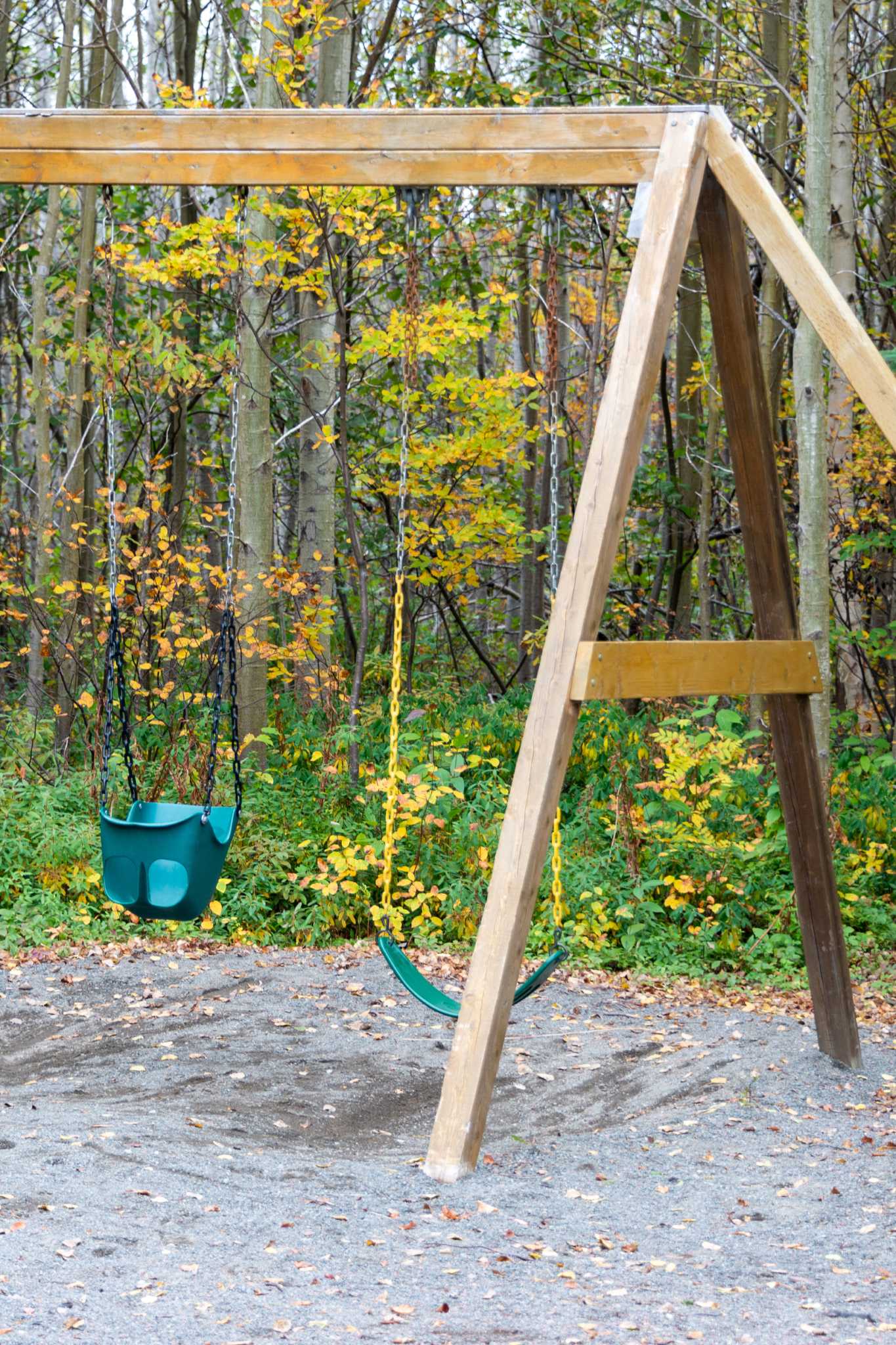 Old Swing Set Frame